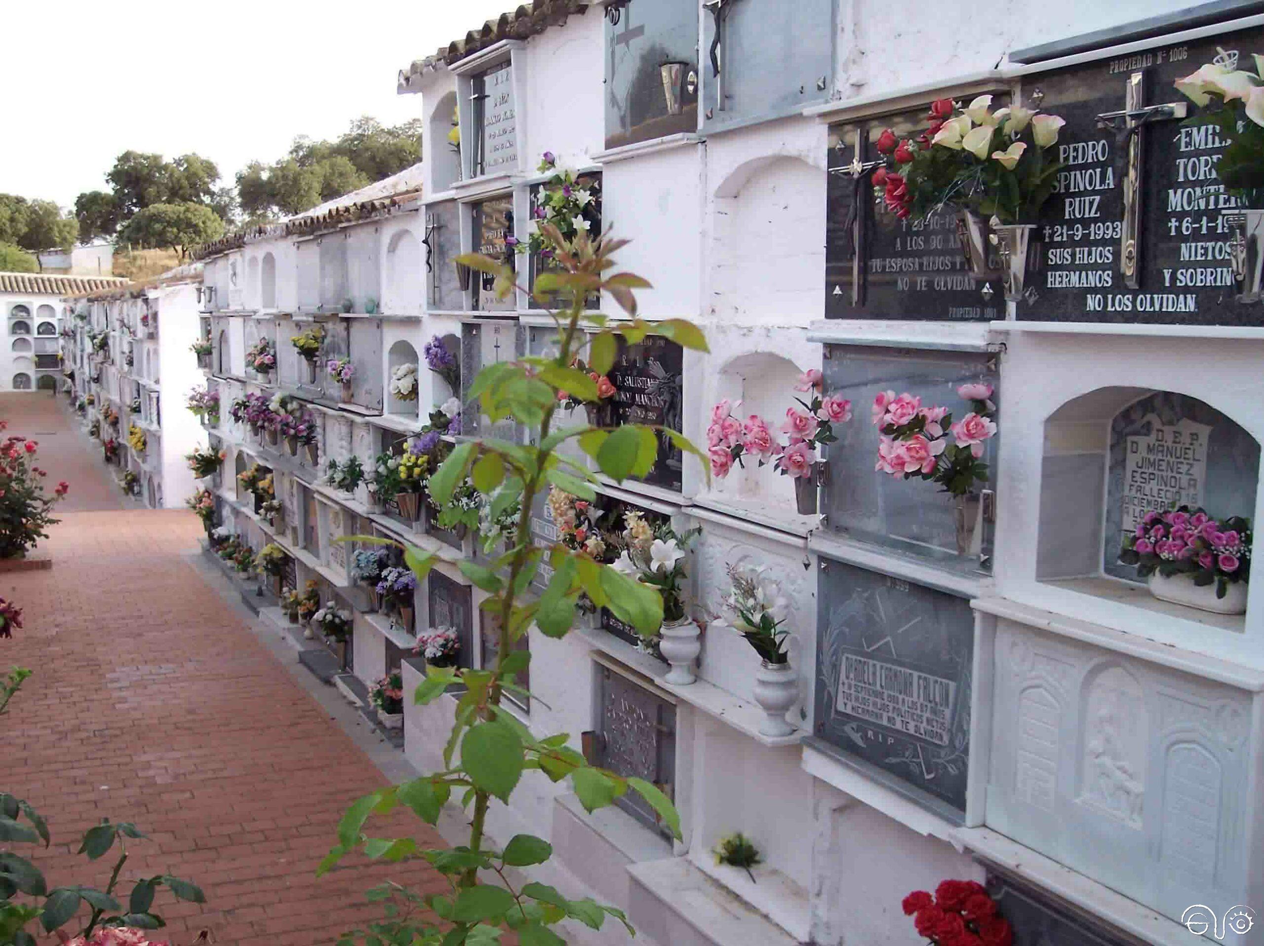 Fosa 1 del cementerio de Alanís. - Desaparición forzada de Andalucia