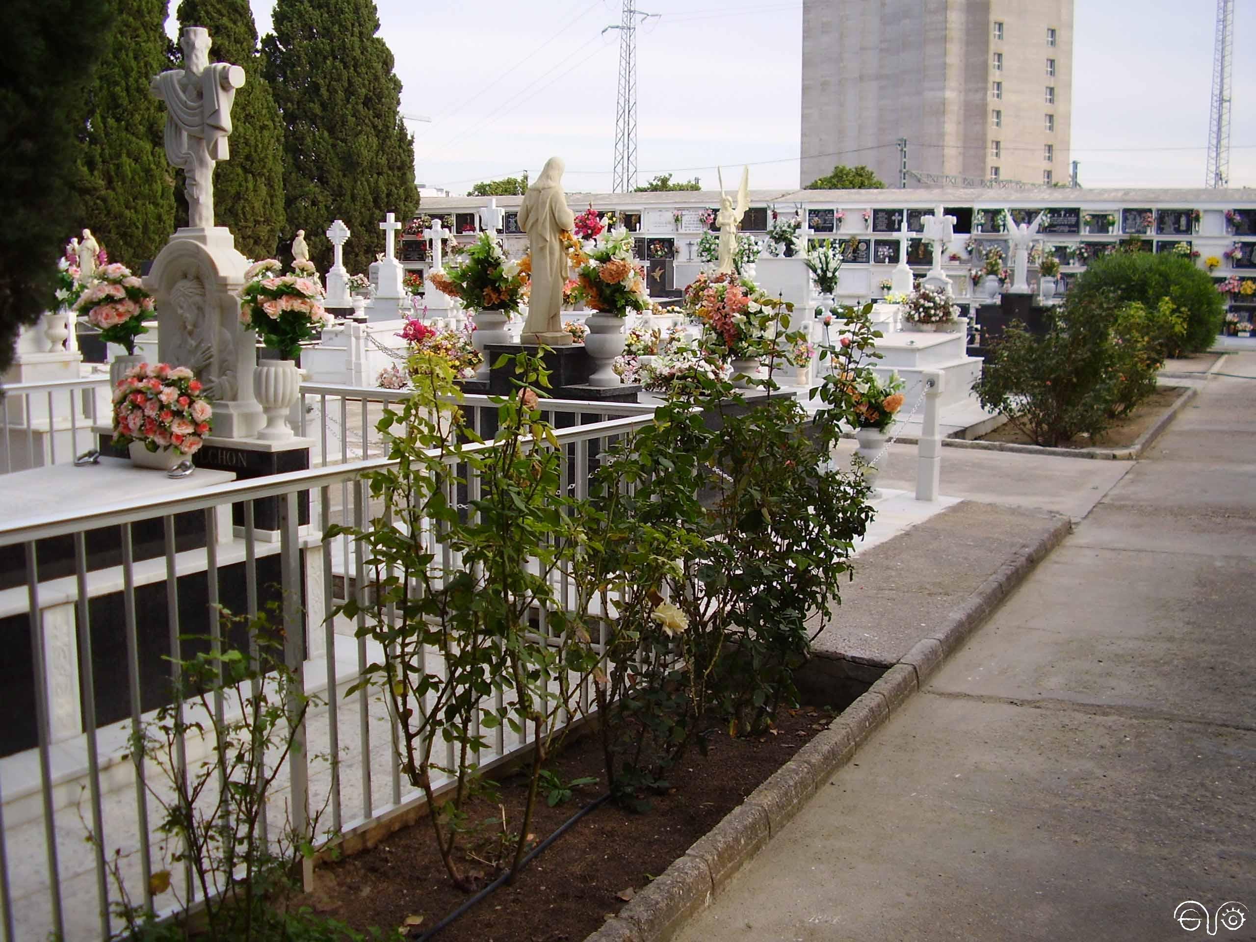 Fosa 2 del cementerio de Utrera. - Desaparición forzada de Andalucia